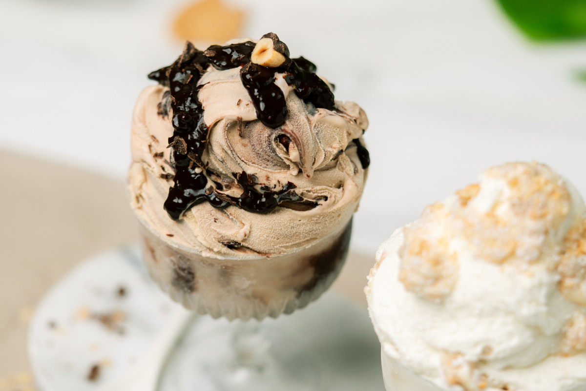 Fructital Coffee Crunchy Variegate – Gelato Supply