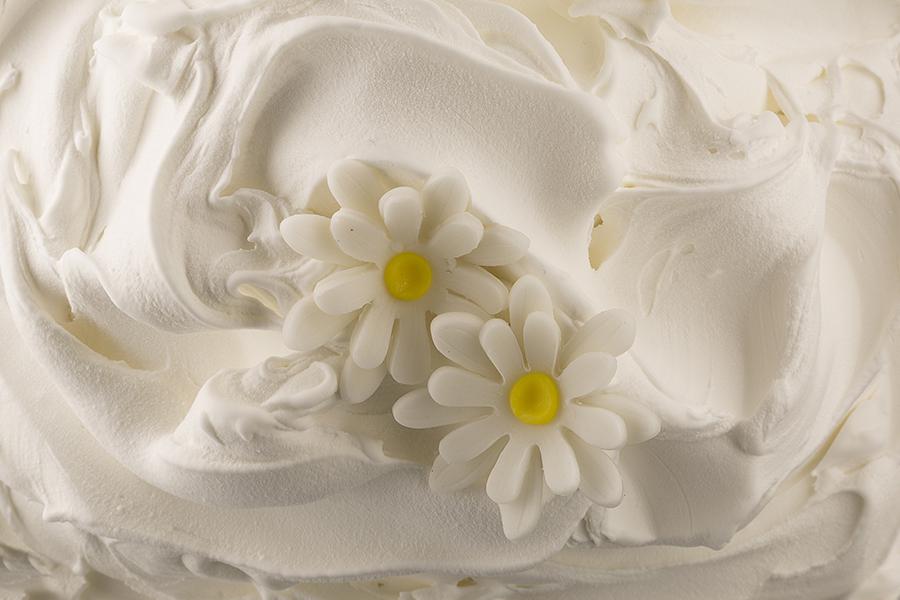 Eurostella Base 50 Naturally – Gelato Supply